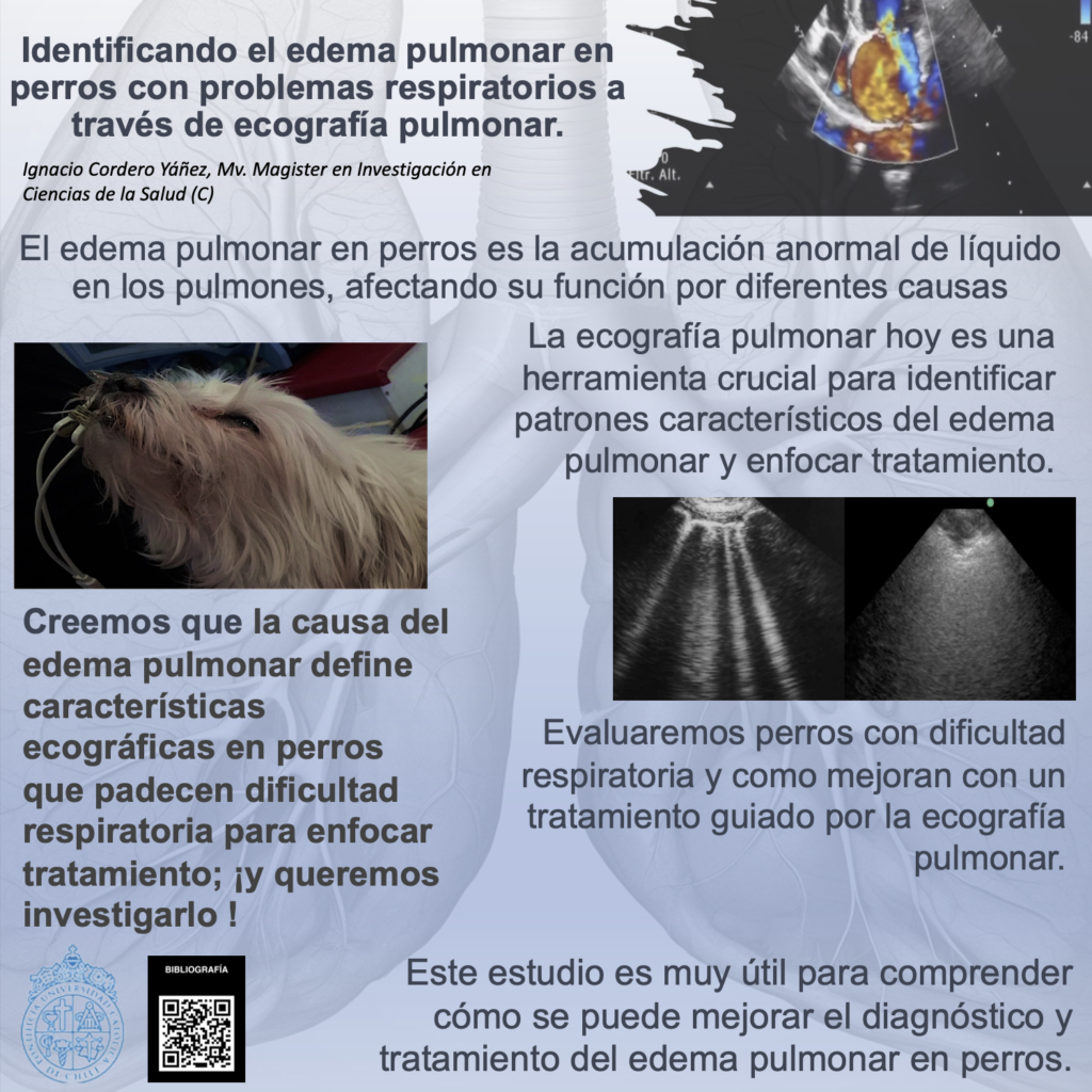 INFOGRAFIA IGNACIO CORDERO - Facultad de Medicina